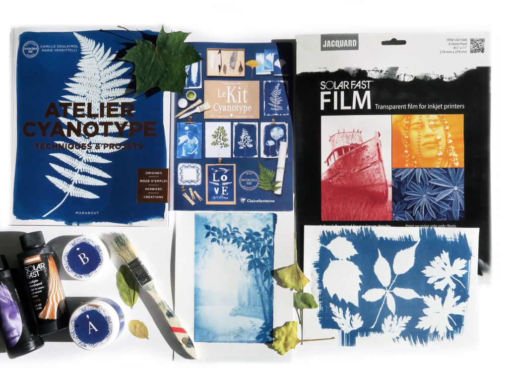 Cyanotype : la technique à tester absolument – Scrapmalin Rougier&Plé ...